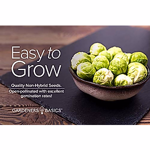 Brussels Sprouts Seeds for Planting - Long Island Improved Heirloom, Non-GMO Vegetable Variety- 800 mg Approx 225 Seeds Great for Summer, Fall, and Winter Gardens by Gardeners Basics