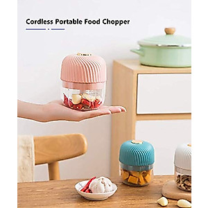 DmofwHi Electric Garlic Chopper,Cordless Mini Chopper With USB Rechargeable,304 Stainless Steel Blade,250ml Portable Electric Mini Food Chopper for Garlic,Ginger,Onion,Meat-Blue