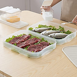 Poeland Food Storage Containers Dumpling Organizer Transparent Food Storage Box for Kitchen and Fridge