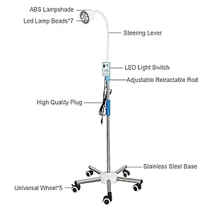Density Specific Gravity Cup, Liquid Density Hydrometer, 50 ML High-Precision, Used to Test The Specific Gravity of Liquids Such As Paint/Auxiliary Materials and Oils