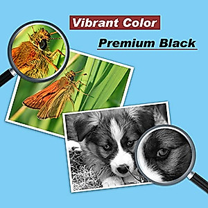 61XL Ink Cartridges Combo Pack Remanufactured Replacement for HP 61 XL Ink Work with HP Envy 4500 4502 5530 5535 5534 Officejet 4630 4635 Deskjet 1000 1010 1510 Printer(1 Black, 1 Tri-Color)