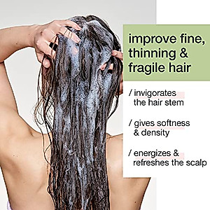 milk_shake Energizing Blend Shampoo, 10.1 Fl Oz