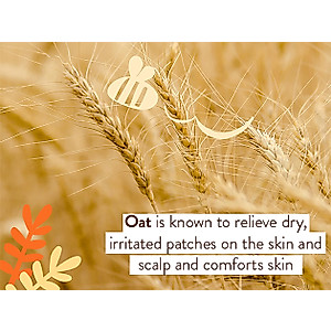 Babo Botanicals Sensitive Baby Fragrance-Free All Natural Healing Ointment - 99% Organic & 1% Colloidal Oat - Steroid-Free - NSF Certified - For Eczema, Irritated/Itchy Skin - Face, Body, Diaper Area