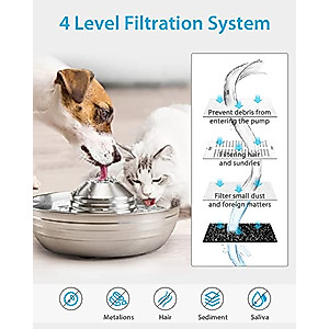 Huicocy Cat Water Fountain Stainless Steel, 67Oz/2L Pet Fountain with Ultra-Quiet Design, Visible Water Level, 360° Automatic Cat Water Dispenser Easy Assemble and Clean,Supply Water Even Power Off