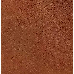 Acme Furniture Dudley Executive Office Chair, Rust Top Grain Leather