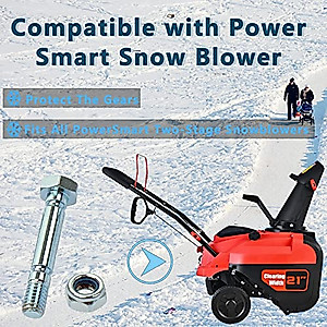 Aillsa 303160355P / 303160355 for Powersmart Snow Blower Shear Pins Set Four Shear Pins and Nuts