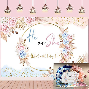 Baby Backdrop for Photography He or She Paty Background 7x5FT Gender Reveal Party Backdrop Baby Shower Decoration Photo Booth Supplies Studio Props Vinyl (84x60 inch)