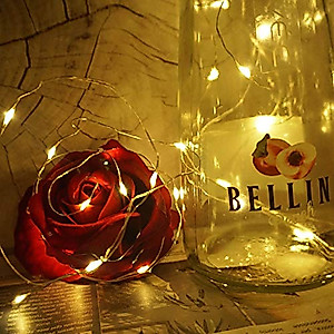 Cynzia Solar Wine Bottle Lights, 6 Pack 20LED Solar Powered Diamond Cork Lights, Waterproof Outdoor Fairy String Light for Garden, Patio, Party, Wedding, Holiday Decor (Warm White)