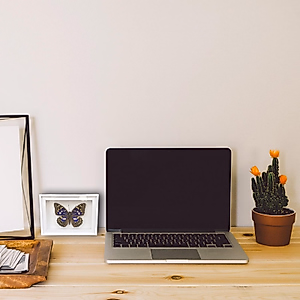 CXUEMH 2 Pcs Framed Butterfly Real Butterfly Specimens Taxidermy Butterfly in Frame Insect Collection Home & Office Desktop Decor Craft Gift for Men Women (Color A)