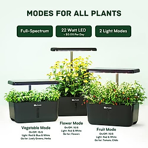 HORTUZZ Hydroponics Growing System, 8 Pods Indoor Herbs Garden with LED Grow Light for Plants, Smart Home Countertop Gardening for Lettuce Tea Cilantro Tomato Rosemary (Novo 8 Black)