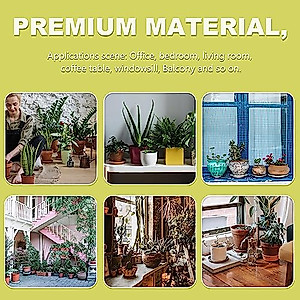 Tinksky Cute Green Frog Flower Sedum Succulent Pot Planter Bonsai Trough Box Plant Bed Office Desk Home Garden Pot Decor