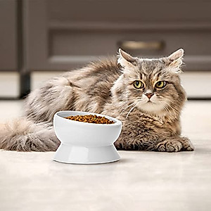 Nucookery Ceramic Cat Food Bowl Elevated,Raised Tilted Bowl Protect Pets' spines and Neck, Anti Vomiting Cat Bowl, Small Dog cat Kitten Supplies (5“, Pure White)