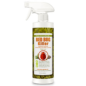 EcoRaider Bed Bug Killer Spray 16 Oz, Green + Non-toxic, 100% Kill + Extended Protection