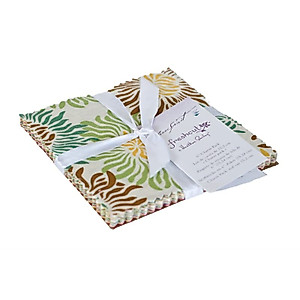 Freshcut Charm Pack (30 Pieces) by Heather Bailey for FreeSpirit 6 x 6 inches (15.2 cm x 15.2 cm cm) Fabric Squares