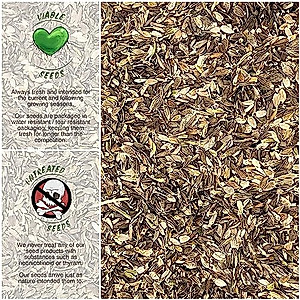 Seed Needs, Mixture of Thumbelina Zinnia Seeds for Planting (Zinnia elegans) Heirloom & Open Pollinated - Perfect for Cut Flowers (2 Packs)