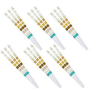 Health Test Strips (100pcs Urine Test Strips)
