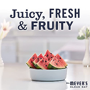 MRS. MEYER'S CLEAN DAY Foaming Hand Soap, Watermelon Scent (10 Fl oz (Pack of 4))