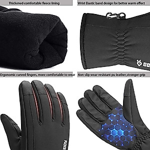 Y&R Direct Mens Winter Gloves -30℉Windproof Waterproof Warm Touch Screen Gloves for Outdoor Work Cycling (Large)