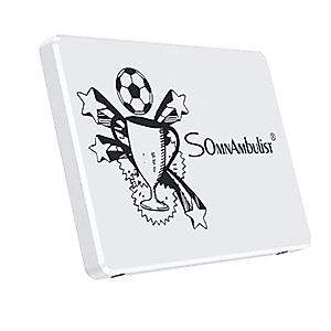 Somnambulist 2.5 sata ssd 120gb 240gb 480gb 960gb 2tb HDD ssd 60gb Solid State Drive Suitable for Desktop Laptop (White Trophy 2TB)