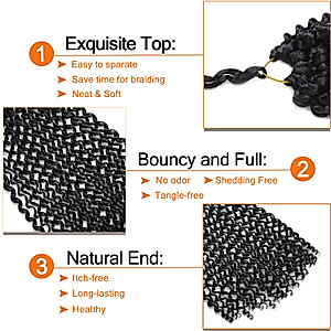 Passion Twist Hair 18 Inch 6 Packs Black Water Wave Braiding Hair for Butterfly Locs Passion Twists Bohemian Braiding Hair Extensions (18Inch 6 Packs,1B#)