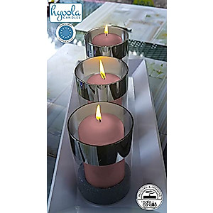 Hyoola Mauve Pink Pillar Candles 2x3 Inch - 4 Pack Unscented Pillar Candles Bulk - European Made