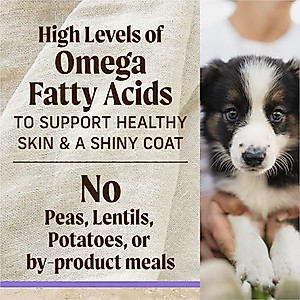 Merrick Healthy Grains Premium Dry Dog Food, Wholesome And Natural Kibble For Healthy Digestion, Puppy Recipe - 12.0 lb. Bag