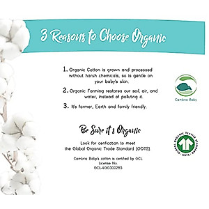 100% Organic Cotton Fitted Sheets for Graco Pack n Play, Babyletto, Pamo Babe, Hiccapop, Dream on Me, Evenflo, Baby Trend, Hygge Hush Portable/Mini Crib/Playards, and Beka Bedside Bassinet 2 Pk