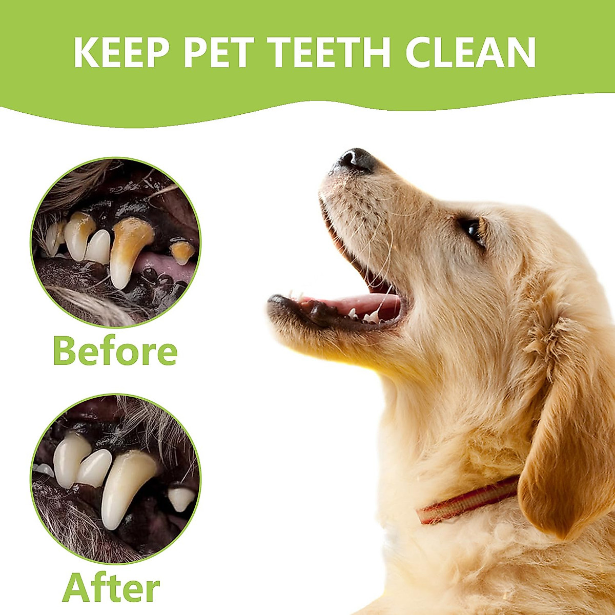 PARYUNGR Dental Tools Pet Dog Teeth Cleaner Tool Kit, Stainless Steel Plaque Remover Dental Picks Tooth Tartar Scraper, Pets Oral Care Hygiene Set for Cats and Dogs Use with Case