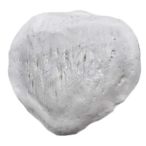 Patella Bone Model - Right - Anatomically Accurate Human Kneecap Bone Replica - hBARSCI