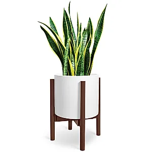 10 Inch Matte White Ceramic Flower Pot with Solid Wood Stand, Straight Cylinder Planter with Drainage Hole - Handmade Modern Minimalist Design for Indoor/Outdoor Plants, Succulents, Herbs, Home Decor