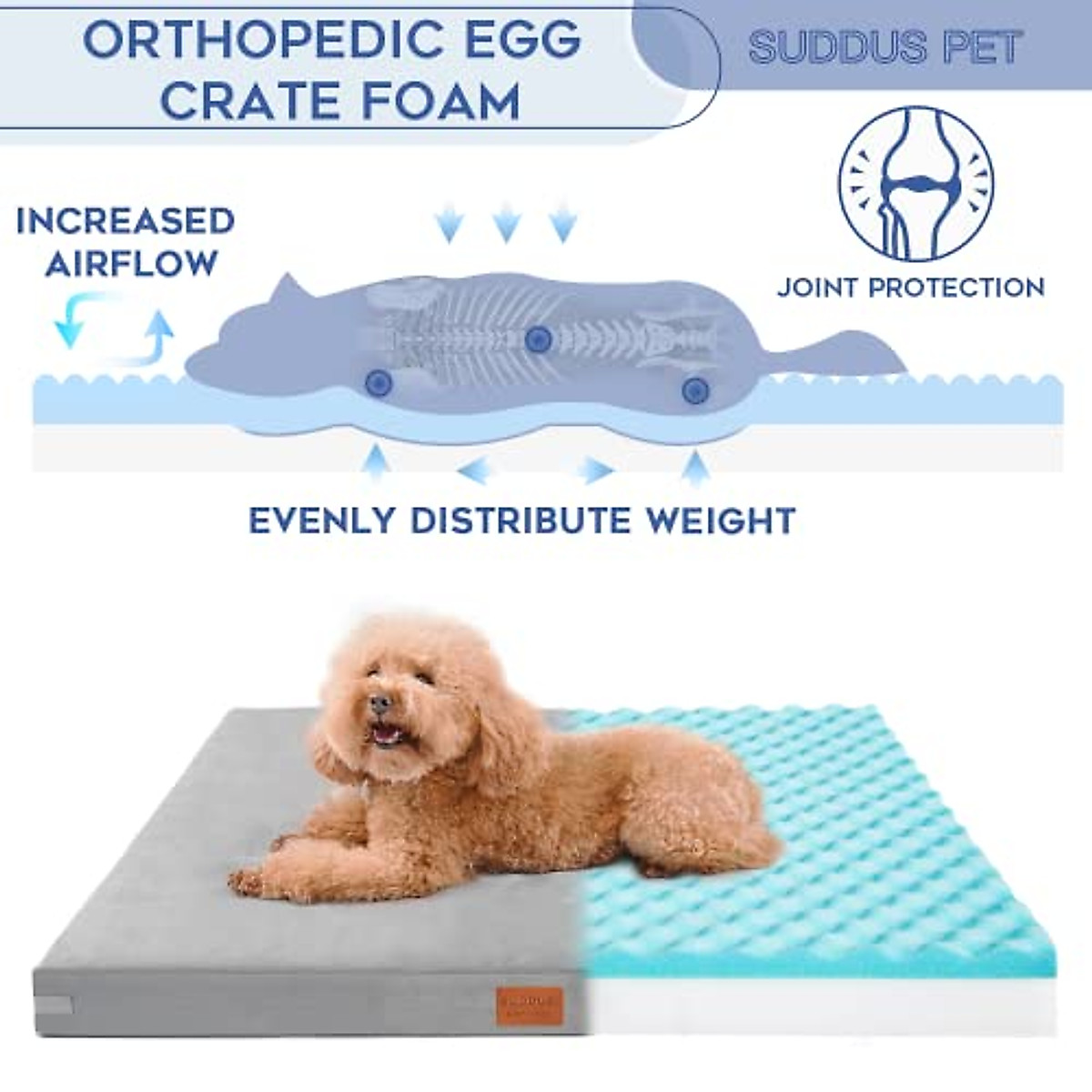 suddus Orthopedic Dog Bed for Medium Dogs, Non-Slip Pet Bed with Waterproof Lining, Memory Foam Dog Bed for Crate Big Dog Bed with Removable Washable Cover (Grey, M)