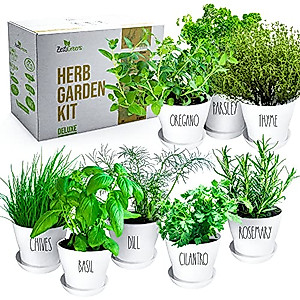 Deluxe Herb Garden Kit – 8 Variety Herbs for Indoor & Outdoor – Get Growing w/Pots, Potting Soil, and Detailed Gardening Guide for Window Herb Garden - DIY Gardening Kit Gift for Women & Men