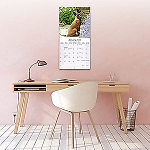 Belgian Shepherd Calendar - Dog Breed Calendars - 2023 - 2024 wall calendars - 16 Month by Avonside