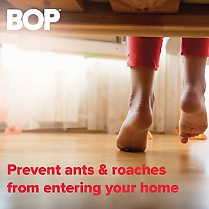 BOP Ant & Roach Killer, 17 oz, Easy to Use Pest Control Spray, Kills Bugs On Contact and Keeps Your Home Insect Free, Indoor/Outdoor Use for Quick Results
