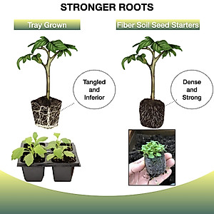 Window Garden 20 Cavity Seed Propagation Kits (2) and Greenhouse Seed Starter Kit – Mini Reusable Plastic Indoor Seed Starter Tray with Dome and Soil Pods for Starting Seeds