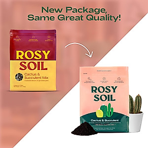 Cactus and Succulent Organic Potting Soil Mix for House Plants - Fast Draining, Root Boosting, Peat-Free Soil for Drought Tolerant Growth of Aloe Vera, Cacti and Indoor Succulents Plants - 4 qt