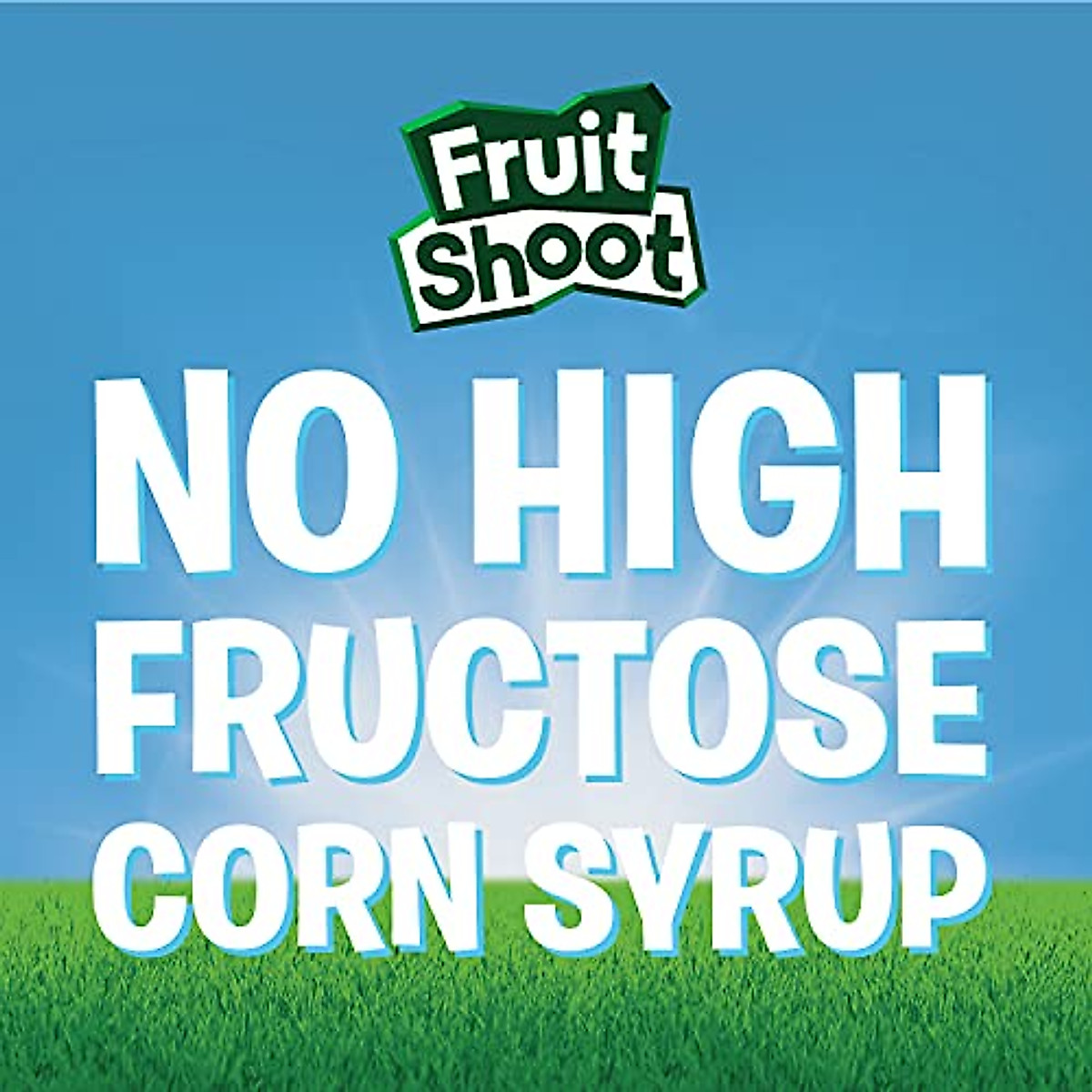 Fruit Shoot, Berry Burst, 10.1 Fl Oz Bottles (Pack of 24)