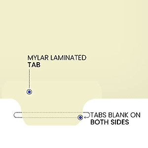 Individual Chart Divider Sheets Used to Build Chart Divider Sets for Medical Practices, 1/6th Cut, Tabs on Bottom, Position: #6, Blank (Pack of 100)