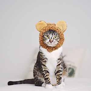 YAODHAOD Plush Bunny Ears Pet Headband, Soft Comfortable Cat Hat with Bear Ears Headwear Cosplay Dress up Accessories Pet Halloween Party Costume for Cats & Small Dogs (Cute Bear Hat)