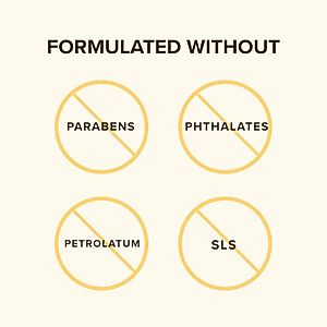 Burt's Bees Lip Balm, Ultra Conditioning with Kokum Butter, 0.15 oz (Pack of 6)