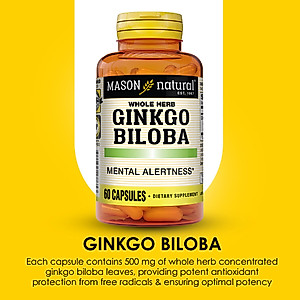 MASON NATURAL Ginkgo Biloba, 3 Month Supply, Helps to Improve Mental Alertness & Support Optimal Brain Function, 60 Capsules (3 Pack)