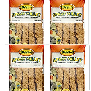 Higgins 4 Pack 6 Count Millet Spray for Birds 4 Bags Total, Fun Tasty Bird Treats Bird Snacks. Fast Delivery by Just Jak's Pet Market