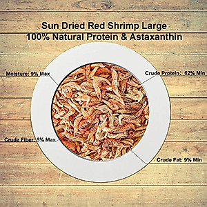 Amzey Dried Large Red Shrimp 198 Grams - Sun Dried 7 oz- Aquatic Turtle Food, Betta Fish Food, Tropical Fish Food, Crab Food, Reptile Food, Aquatic Fish Foods, Aquatic Pets Food
