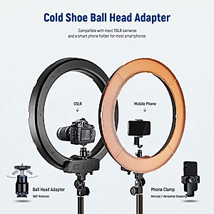 Neewer 18-inch SMD LED Ring Light Dimmable Lighting Kit with 78.7-inch Light Stand, Filter and Hot Shoe Adapter for Photo Studio LED Lighting Portrait YouTube TikTok Video Shooting (No Carrying Bag)