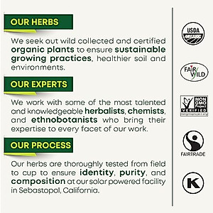 Traditional Medicinals Tea, Organic Spearmint, Supports Everyday Wellness, Healthy & Refreshing, 16 Count (Pack of 6)