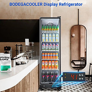 BODEGACOOLER Commercial Merchandiser Refrigerator,12.5 Cu.Ft Glass Door Display Refrigerator,Upright Commercial Beverage Display Cooler with Soft LED Light,Adjustable Shelves,Black