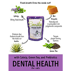 In Clover Smile Daily Dental Health Soft Chews for Cats, Support Healthy Teeth and Fresh Tongue with Catnip and Green Tea, Prebiotics, and Chlorophyll for Fresh Breath