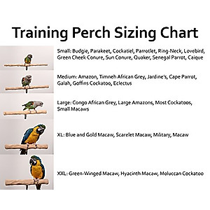 Parrot Training Perch Kit (T Perch, XL)
