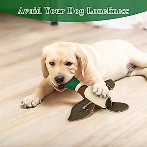 IOKHEIRA Squeaky Dog Toy for Large Breed, Plush with Crinkle Paper, Tug of War for Puppy, Small, Middle Dogs (Brown, Mallard)