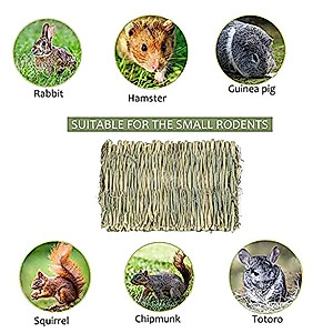 MIUPOO Pet Grass Woven Bed Mat,Small Animal Grass Mat Bedding,Pet Chew Grass Mat Toys Bed for Guinea Pig,Parrot,Rabbit,Hamster,Cat Dog and Small Animal,2 Pieces.